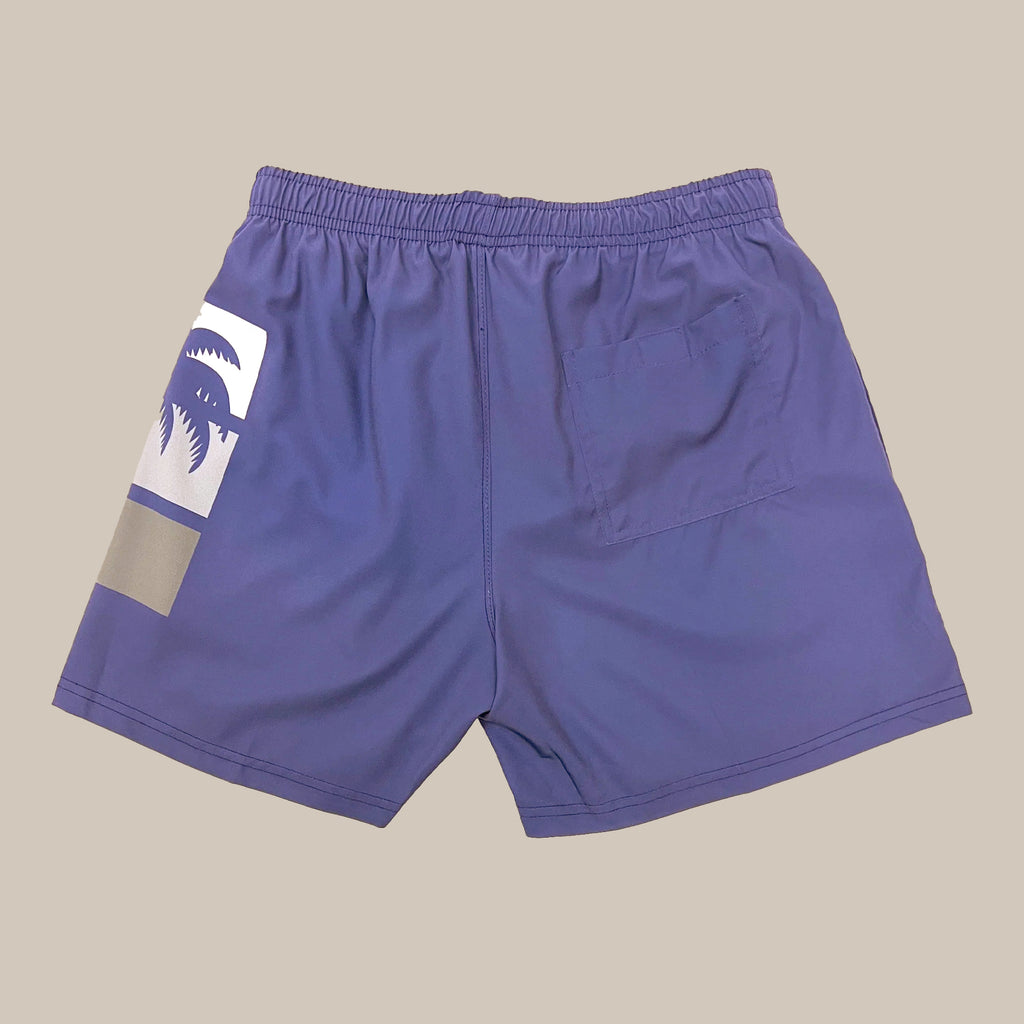 Falkirk FC Summer Swim Shorts | Greaves Sports